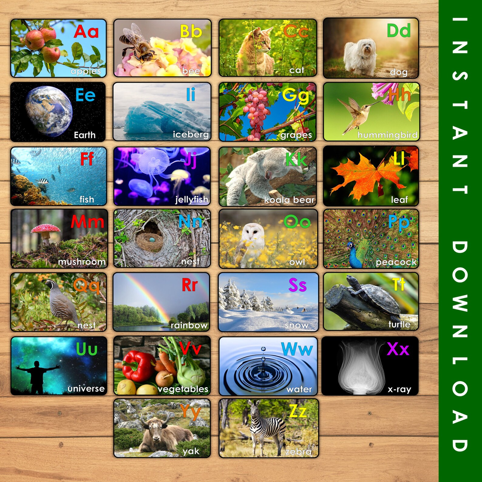 Printable Flashcards, Alphabet Flashcards, Nature Alphabet, ABC ...