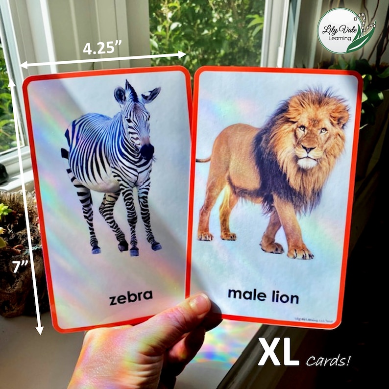 Flashcards, Printable Flashcards, African Animal Printable, Animal ...