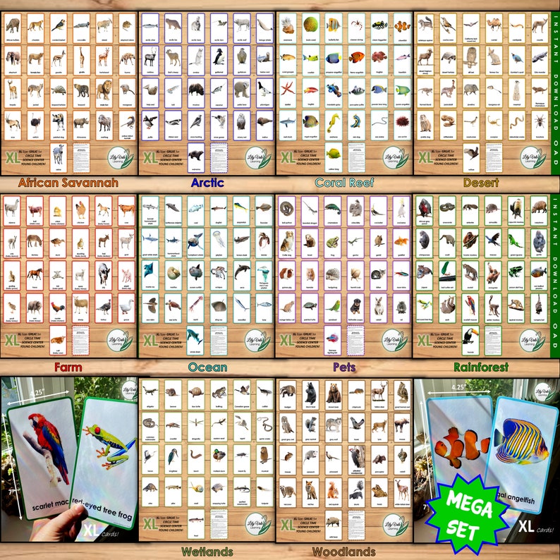 Printable Flashcards, Montessori Flashcards, Animal Flashcards ...