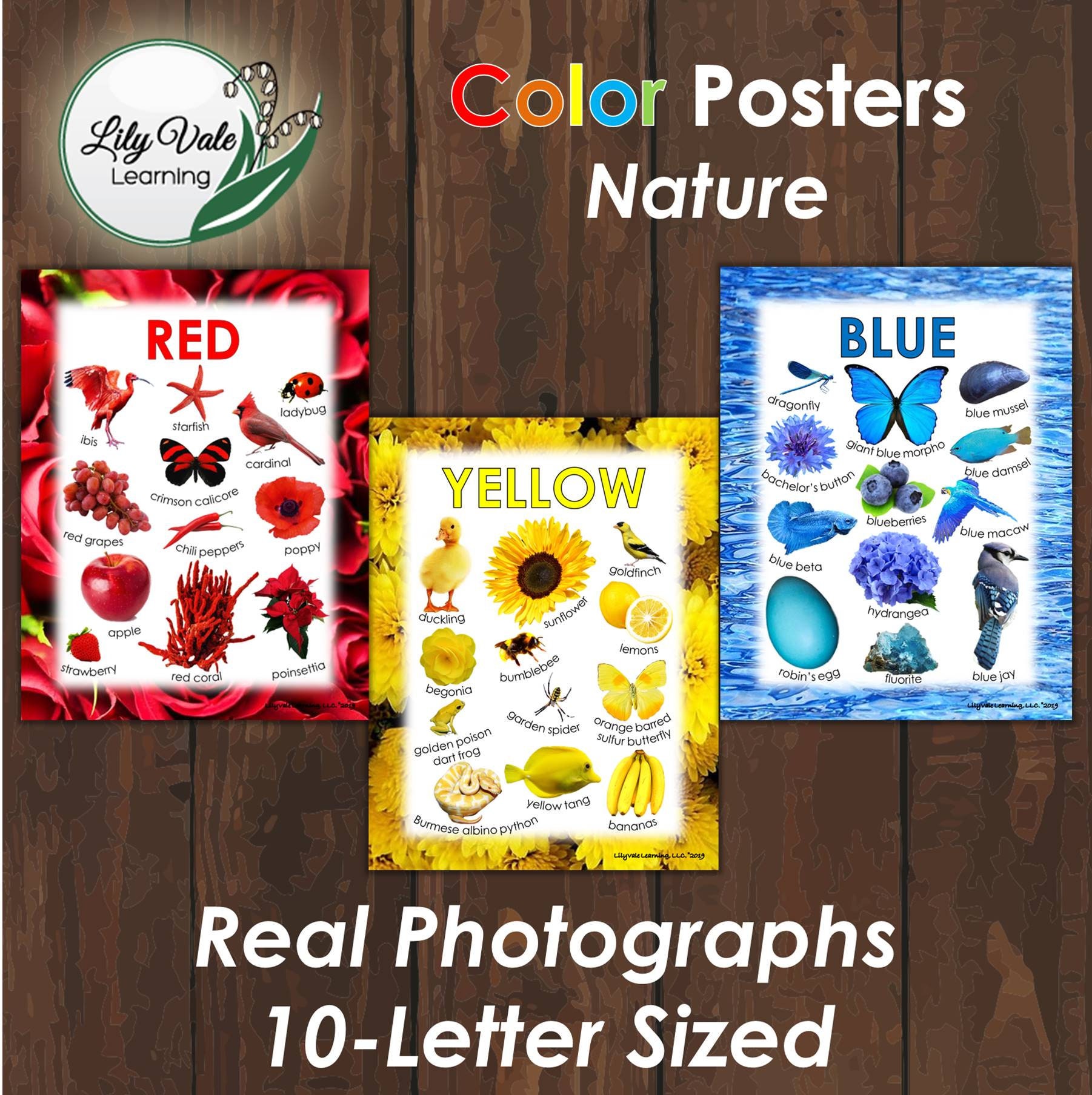 Color Learning, Montessori Classroom Decor, Nature Color Posters ...