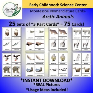 Printable Flashcards, Polar Animals, Montessori Flashcards, ARCTIC ...