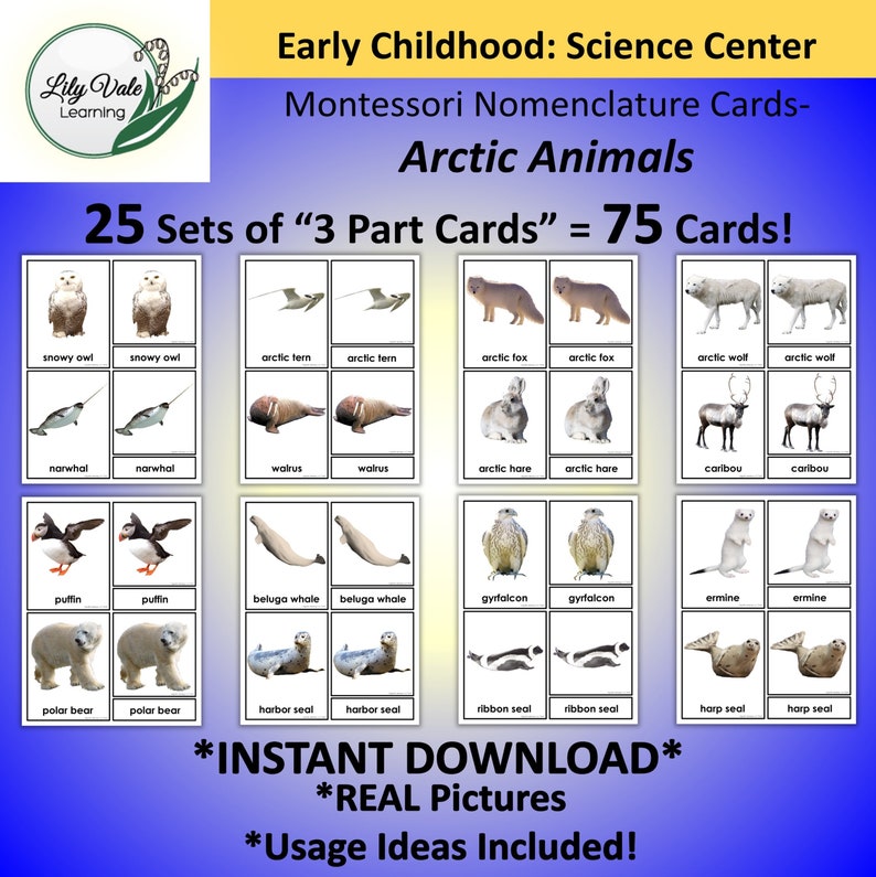 Printable Flashcards, Polar Animals, Montessori Flashcards, ARCTIC ...