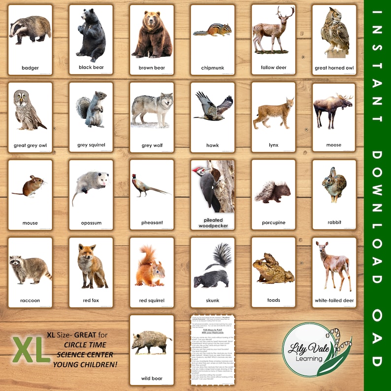 Woodland Animal Printable, Forest Animal Cards, Animal Learning Cards ...