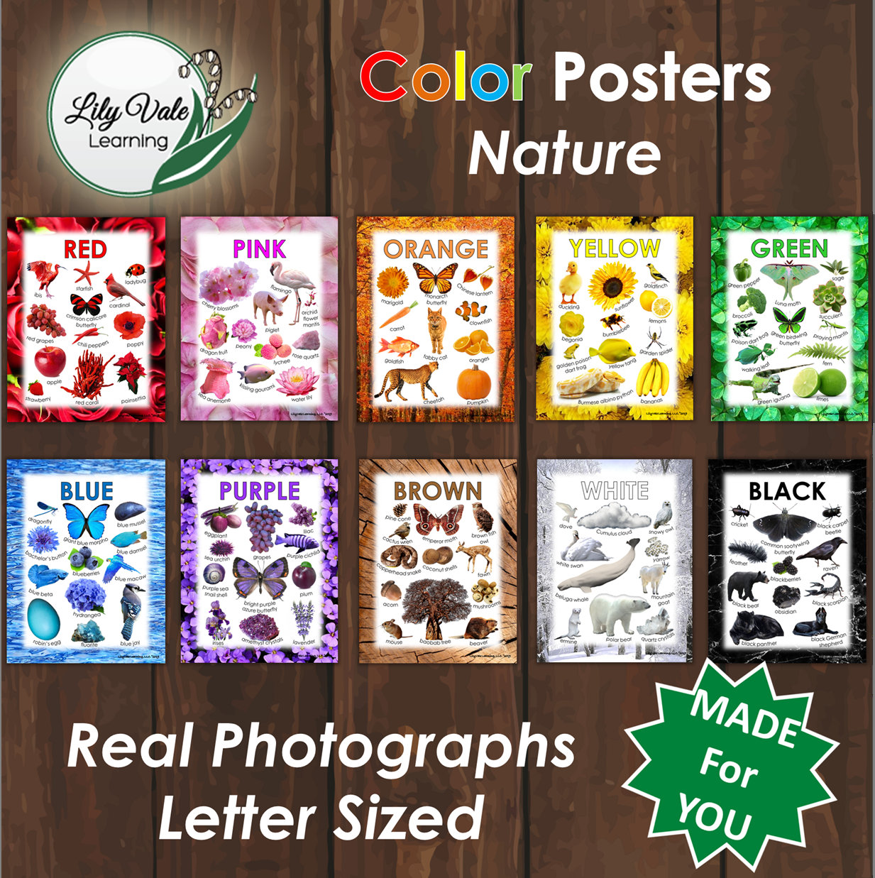 Color Learning, Montessori Classroom Decor, Preschool Classroom Poster ...