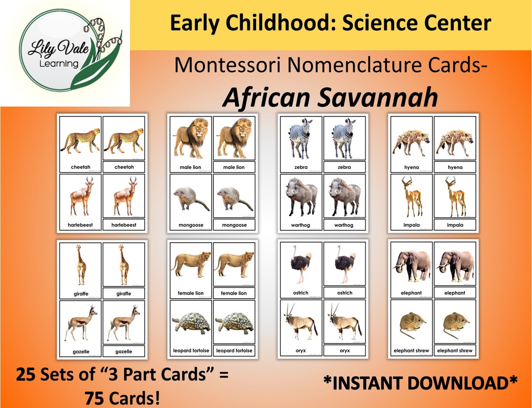 Printable Flashcards, Montessori Flashcards, AFRICAN ANIMALS PRINTABLE ...