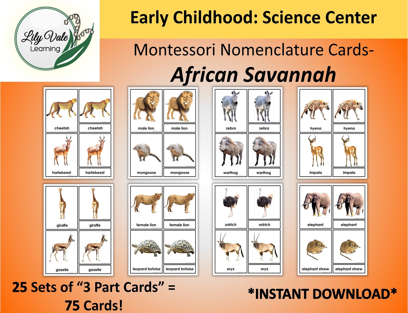 Printable Flashcards, Montessori Flashcards, AFRICAN ANIMALS PRINTABLE ...
