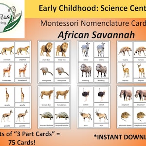 Printable Flashcards, Montessori Flashcards, AFRICAN ANIMALS PRINTABLE ...