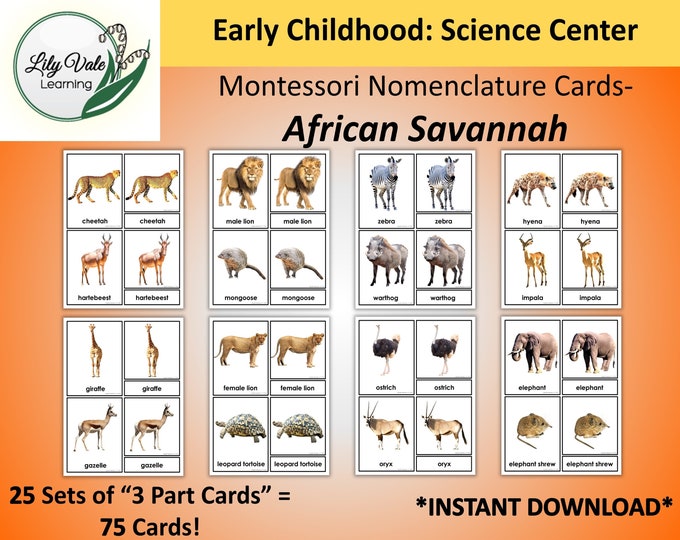 32 Wild Animals Flashcards, African Animals, Kids Cards, Nomenclature ...