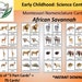 Printable Flashcards, Montessori Flashcards, AFRICAN ANIMALS PRINTABLE ...