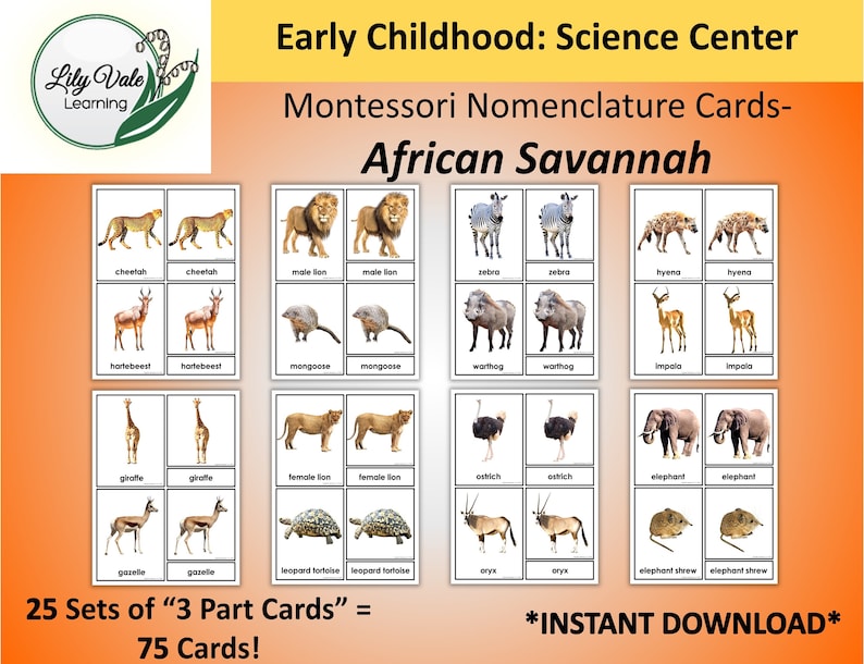 Printable Flashcards, Montessori Flashcards, AFRICAN ANIMALS PRINTABLE ...