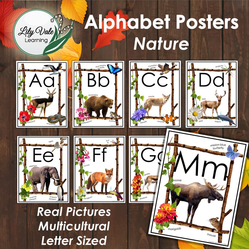 Alphabet Poster, Animal Alphabet, Montessori Classroom, Alphabet Chart ...