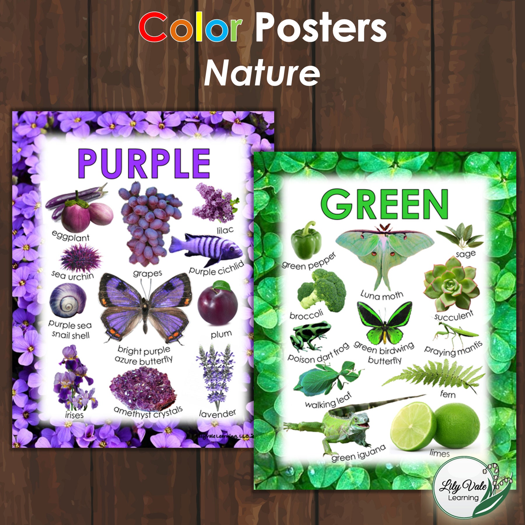 Color Learning, Montessori Classroom Decor, Preschool Classroom Poster ...