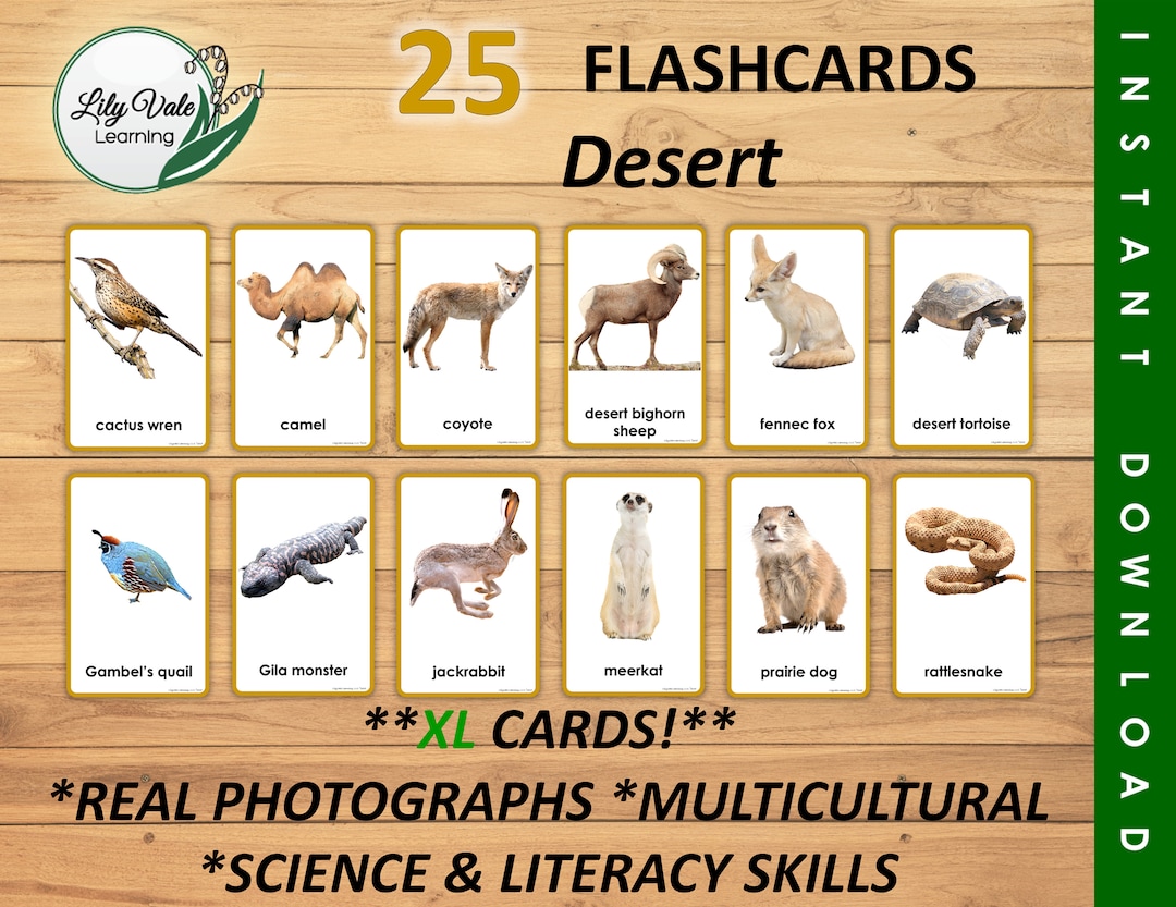 Flashcards, Printable Flashcard, Animal Learning Card, Desert Animal ...