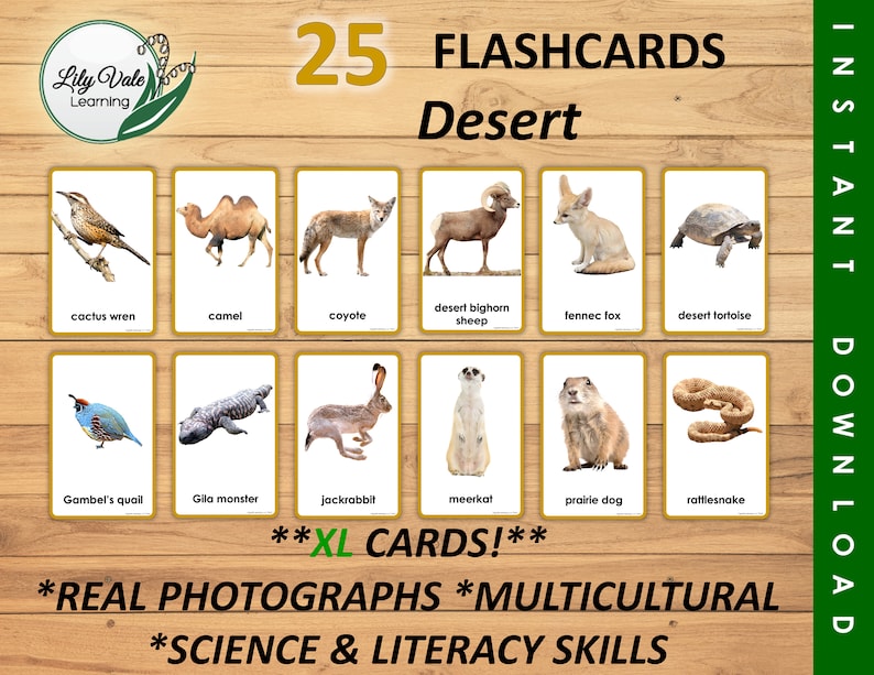 Flashcards, Printable Flashcard, Animal Learning Card, Desert Animal ...