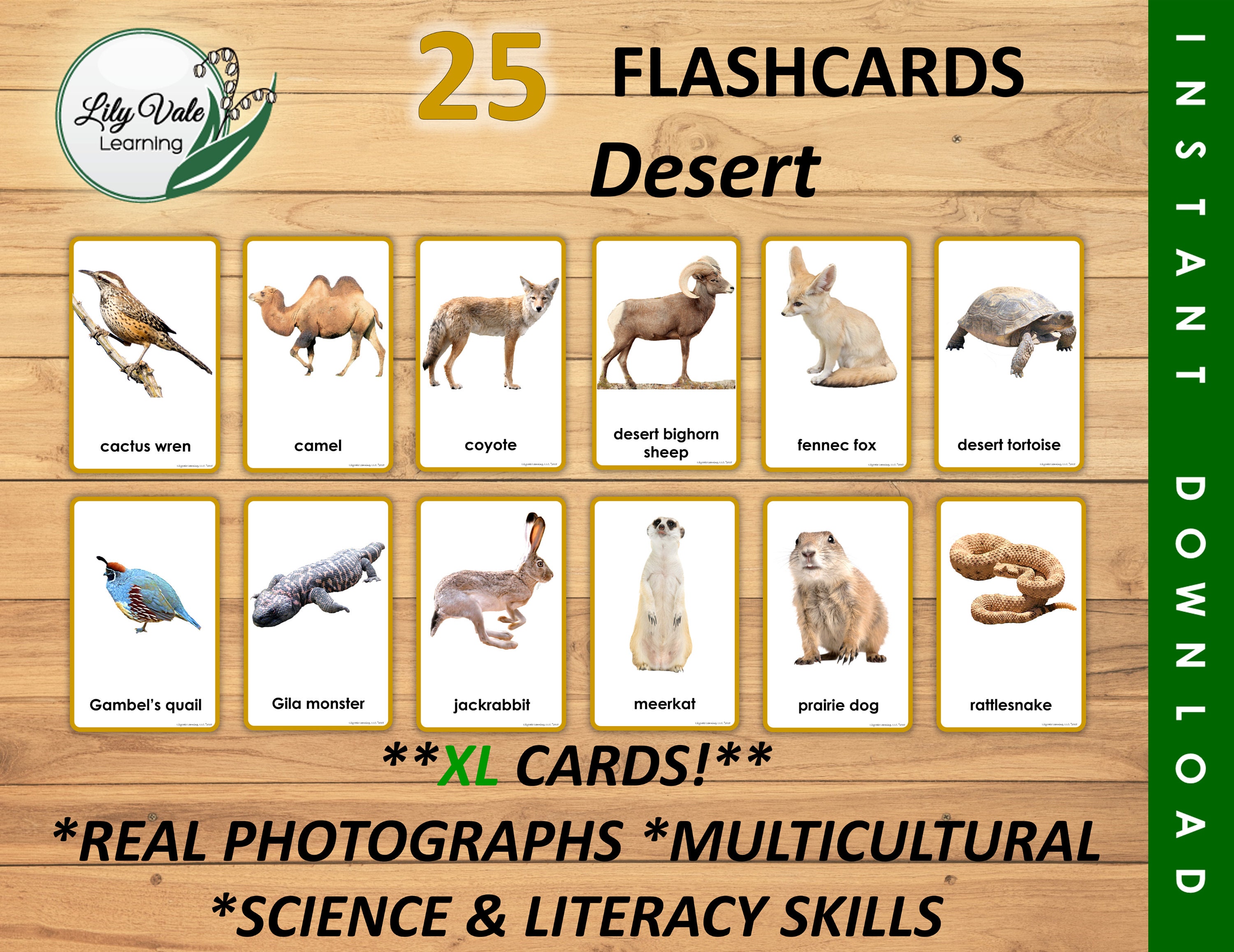 Flashcards, Printable Flashcard, Animal Learning Card, Desert Animal ...