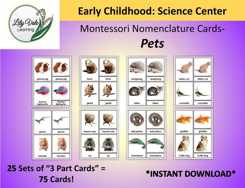 Printable Flashcards, Montessori Flashcards, Nomenclature Cards ...