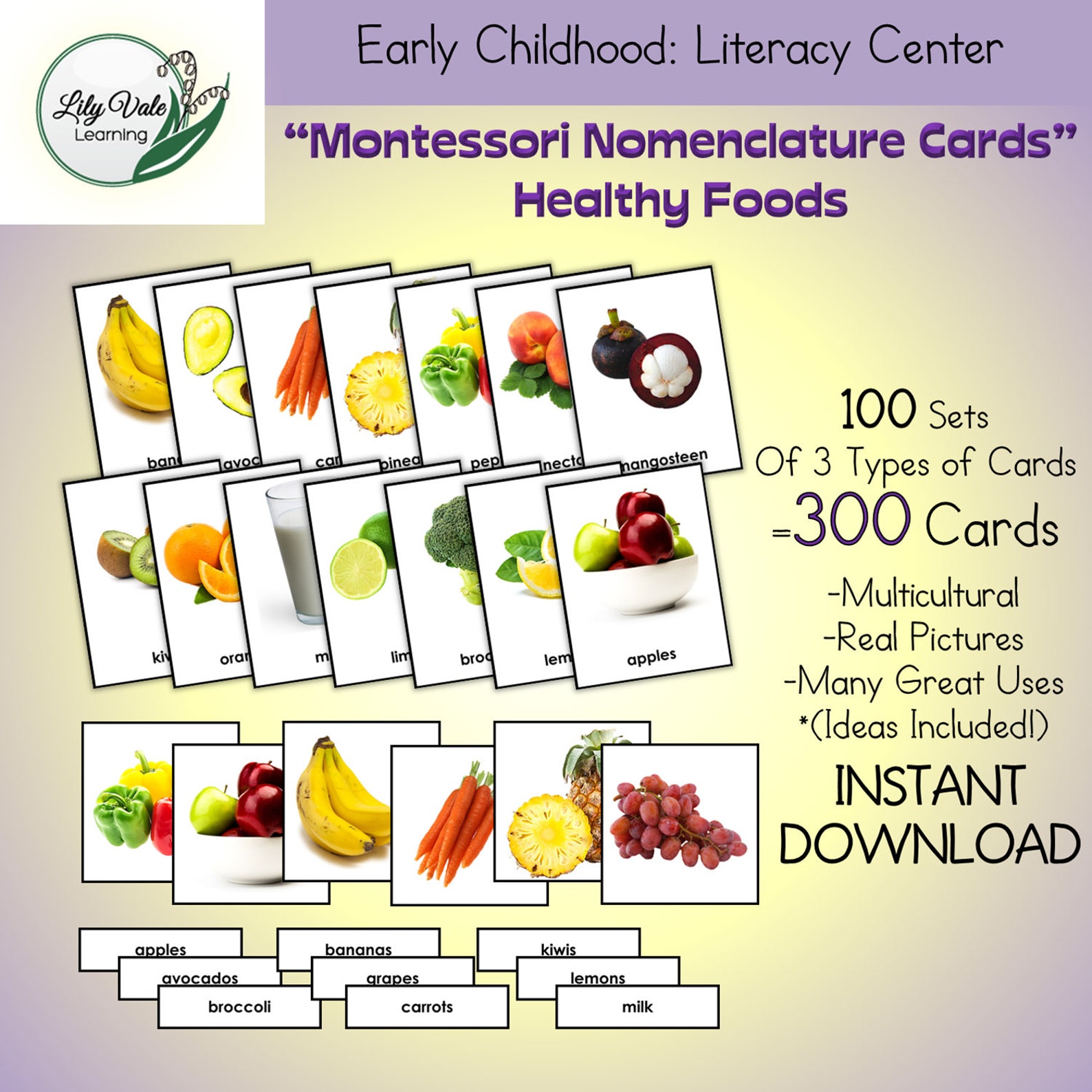 Montessori Materials, Montessori Flashcards, 3 Part Cards, Food ...