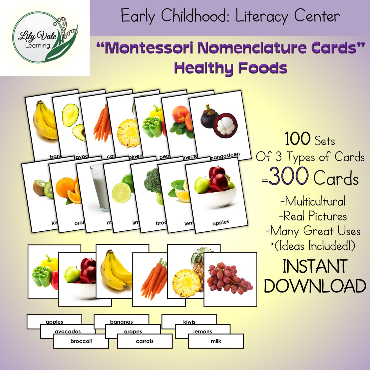 Montessori Materials, Montessori Flashcards, 3 Part Cards, Food ...