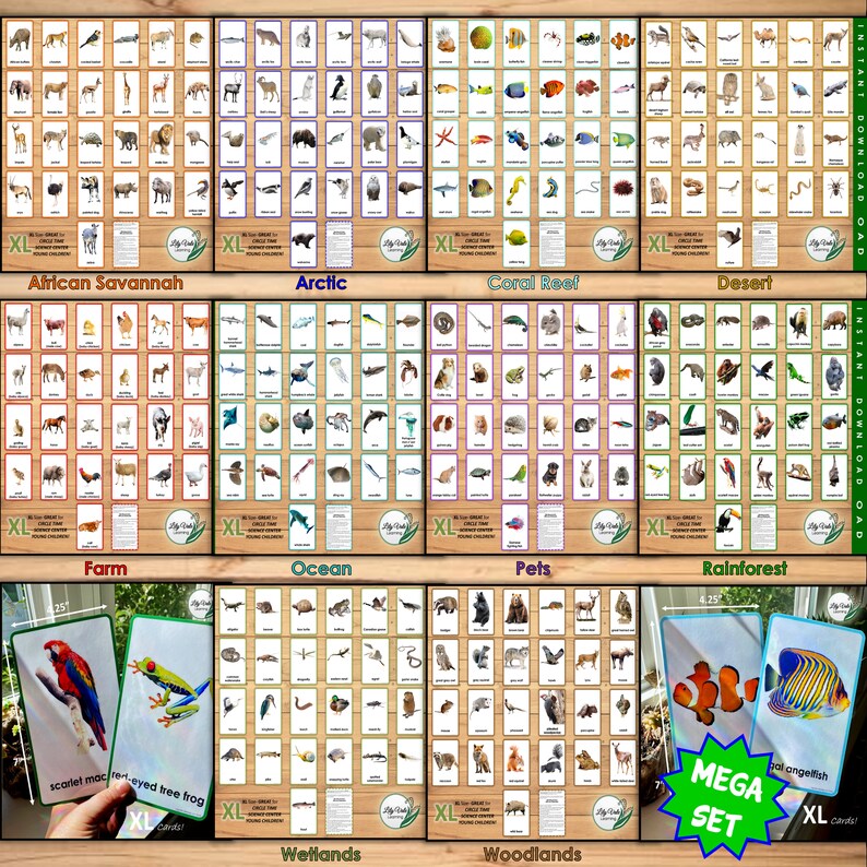 Printable Flashcards, Montessori Flashcards, Animal Flashcards ...