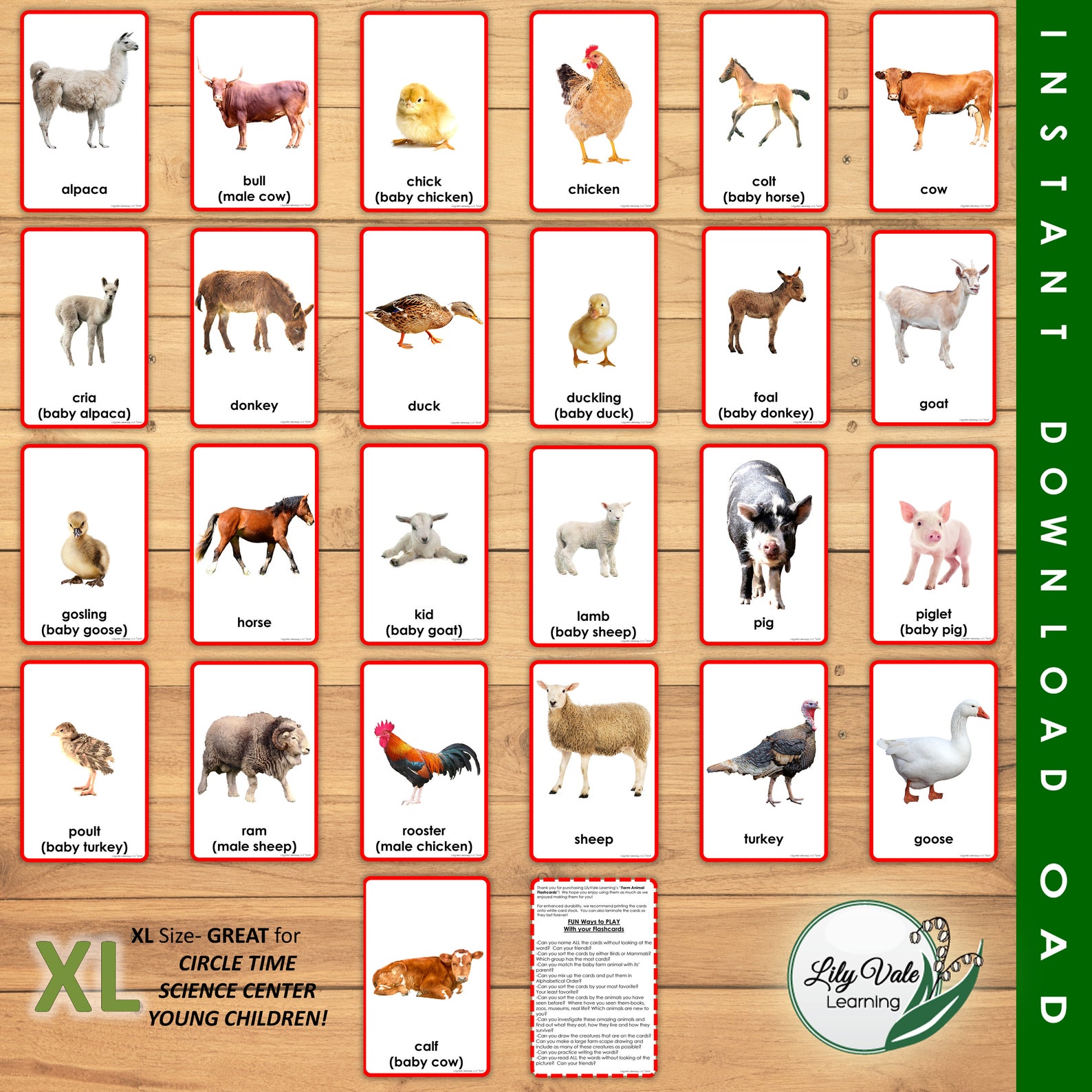 Farm Theme Printable, Farm Theme Cards, Animal Flashcards, Farm ...