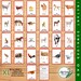 Farm Theme Printable, Farm Theme Cards, Animal Flashcards, Farm ...