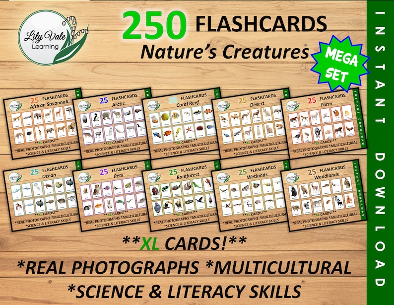 Printable Flashcards, Montessori Flashcards, Animal Flashcards ...