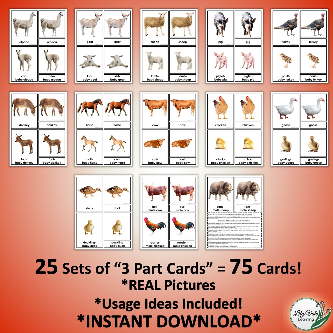 Printable Flashcards, Montessori Flashcards, Nomenclature Cards, Animal ...