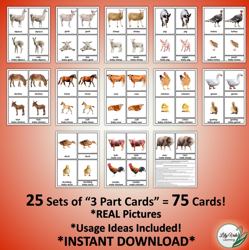 Printable Flashcards, Montessori Flashcards, Nomenclature Cards, Animal ...