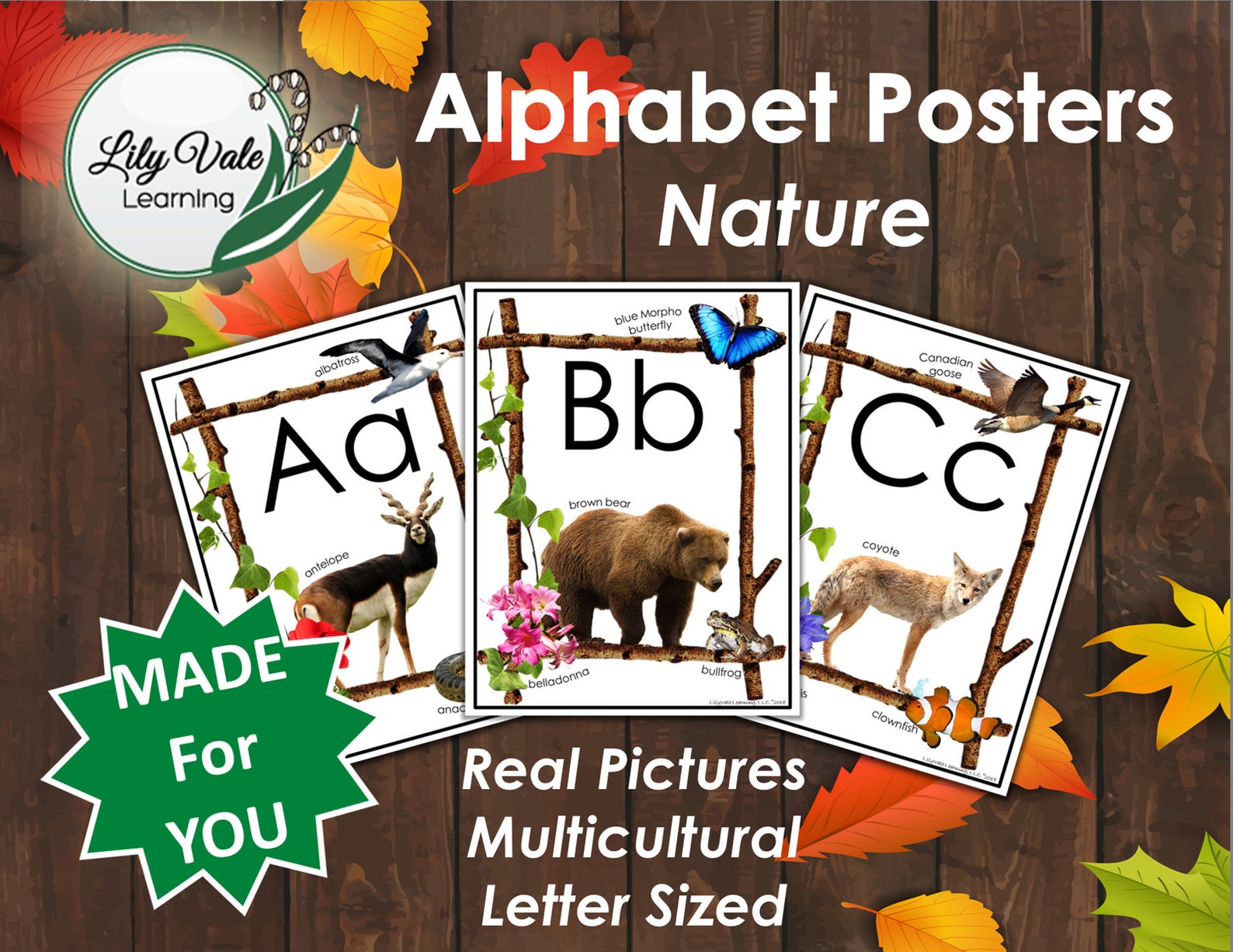 Alphabet Poster, Animal Alphabet, Montessori Classroom, Alphabet Chart ...