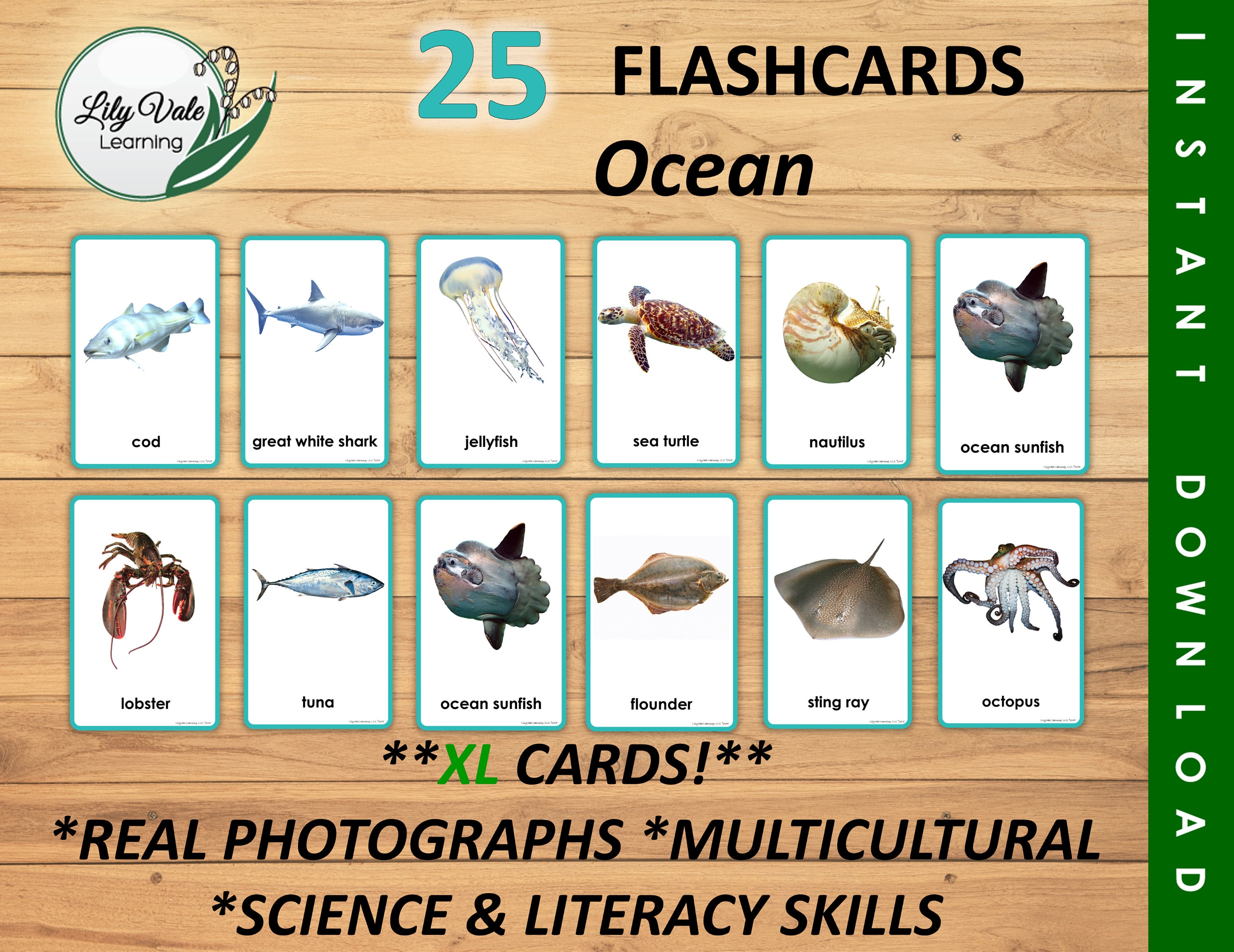 Printable Flashcards, Ocean Animal Printable, OCEAN ANIMAL FLASHCARDS ...