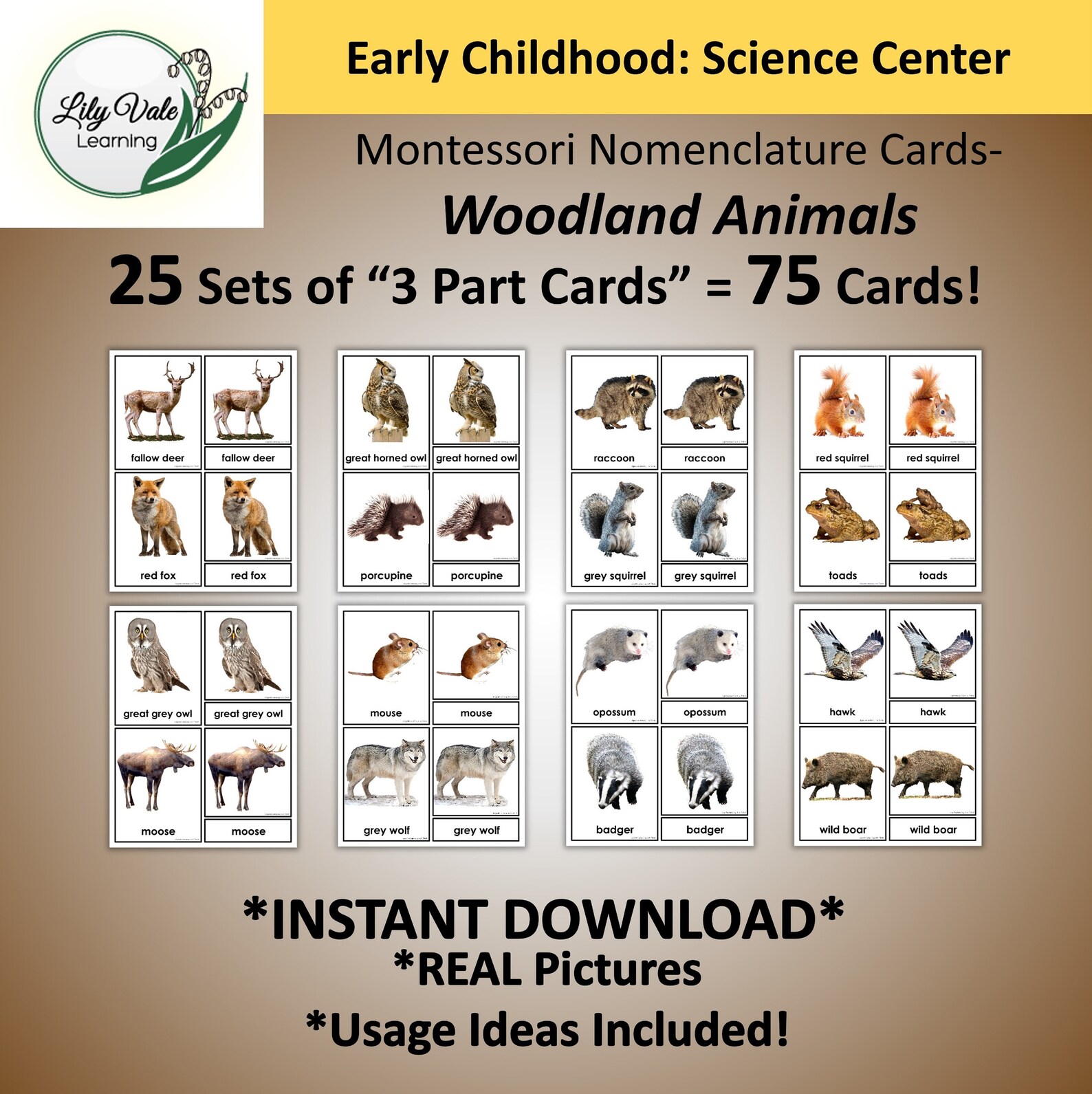 WOODLAND ANIMAL CARDS, Forest Animal Cards, Montessori Flashcards ...