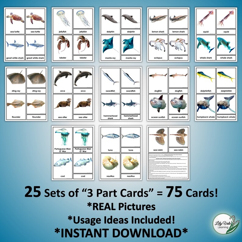 Printable Flashcards, OCEAN ANIMAL Printable, Montessori Flashcard ...