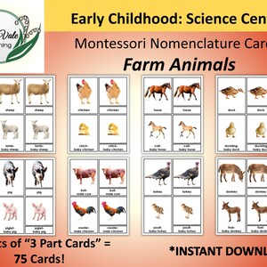 Printable Flashcards, Montessori Flashcards, Nomenclature Cards, Animal ...