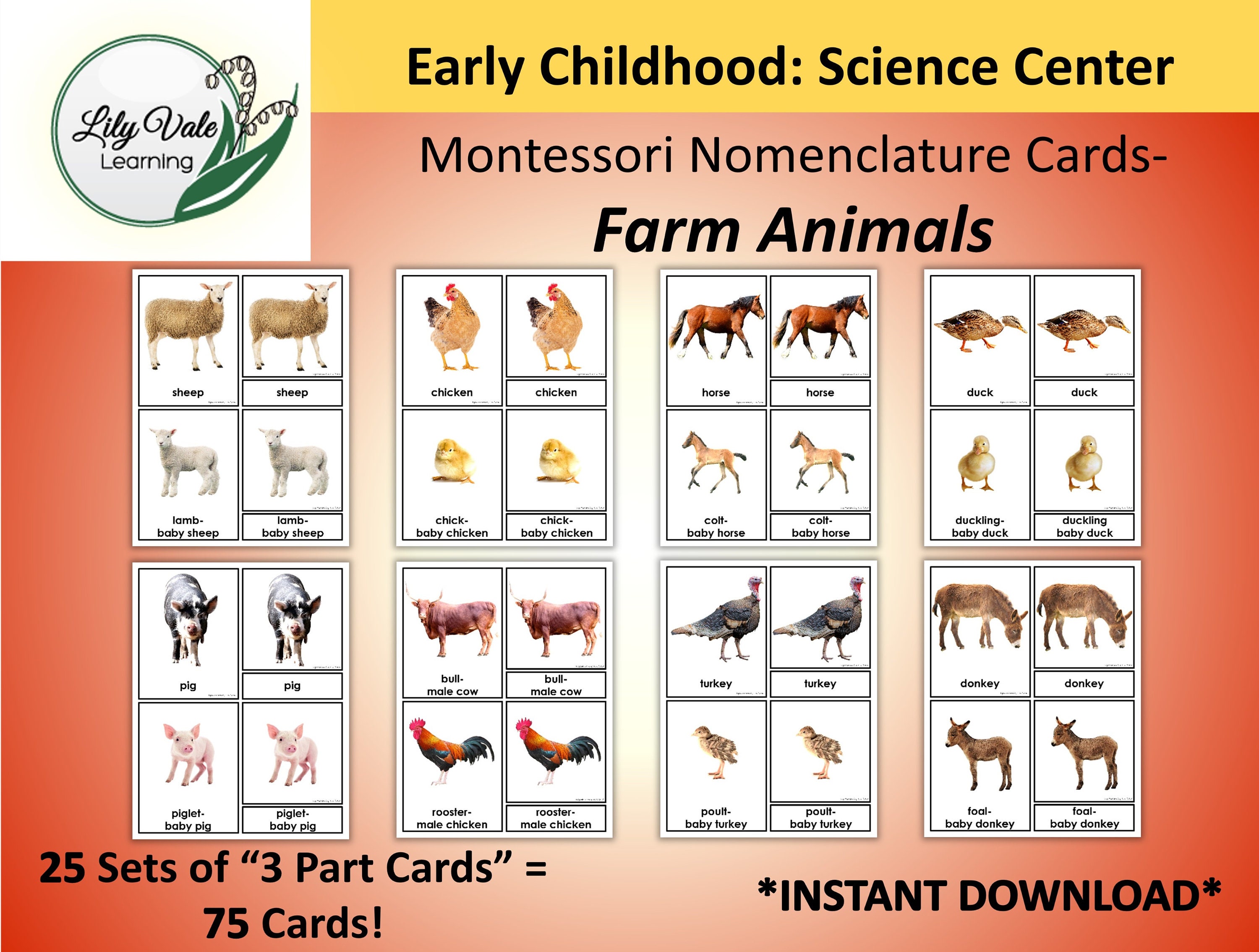 Printable Flashcards, Montessori Flashcards, Nomenclature Cards, Animal ...