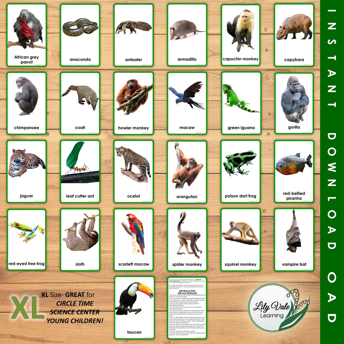 Flashcards, Printable Flashcard, Jungle Animal Card, Montessori ...