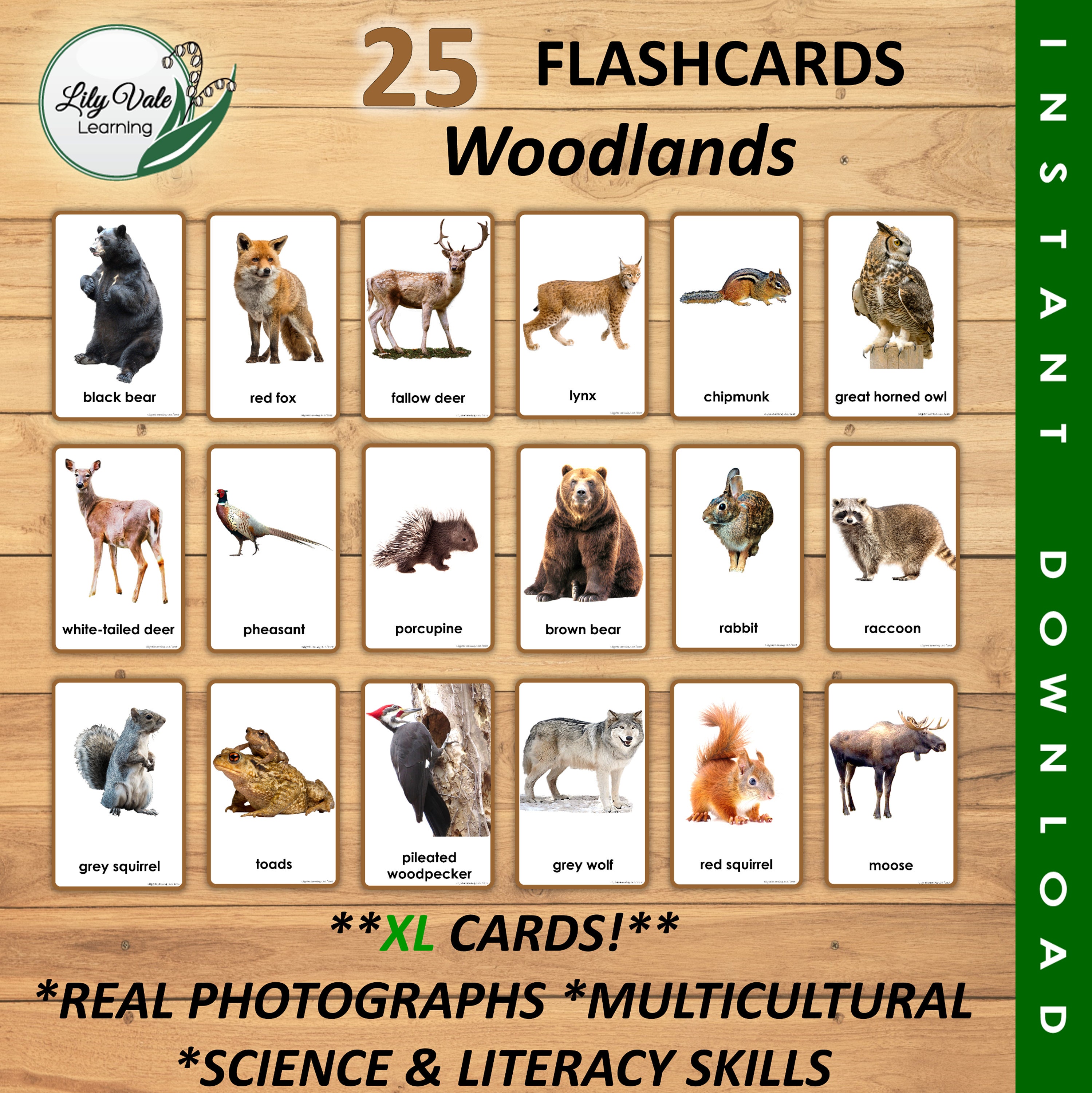 Woodland Animal Printable, Forest Animal Cards, Animal Learning Cards ...