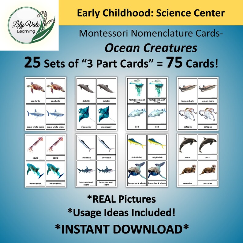 Printable Flashcards, OCEAN ANIMAL Printable, Montessori Flashcard ...