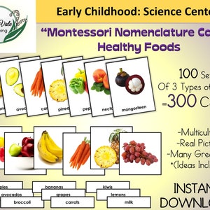 Montessori Materials, Montessori Flashcards, 3 Part Cards, Food ...