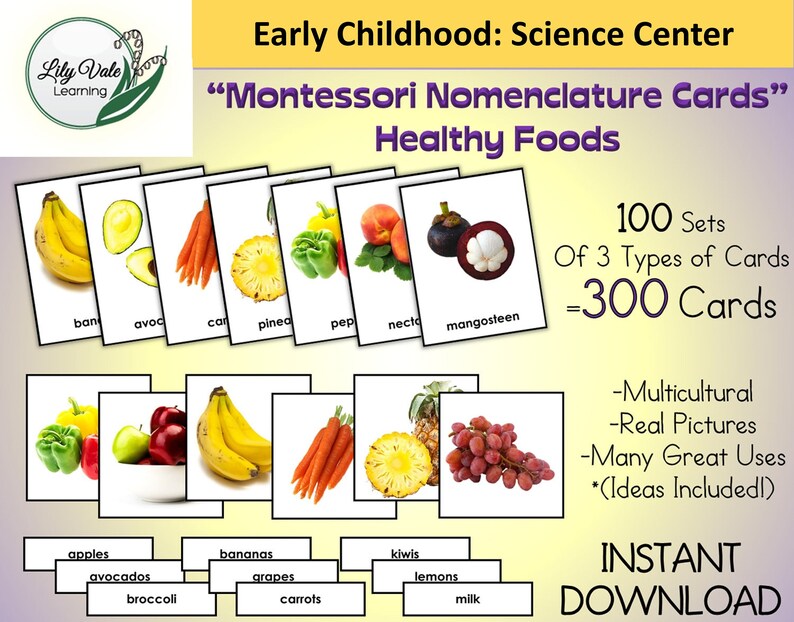Montessori Materials, Montessori Flashcards, 3 Part Cards, Food ...