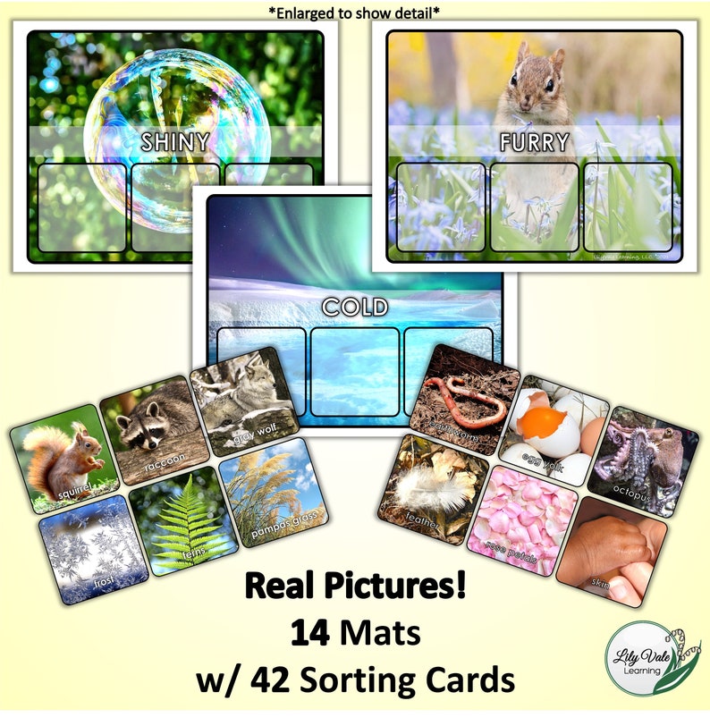 Flashcards for Kids, Sensory Play, Sensory Activity, Montessori Science ...