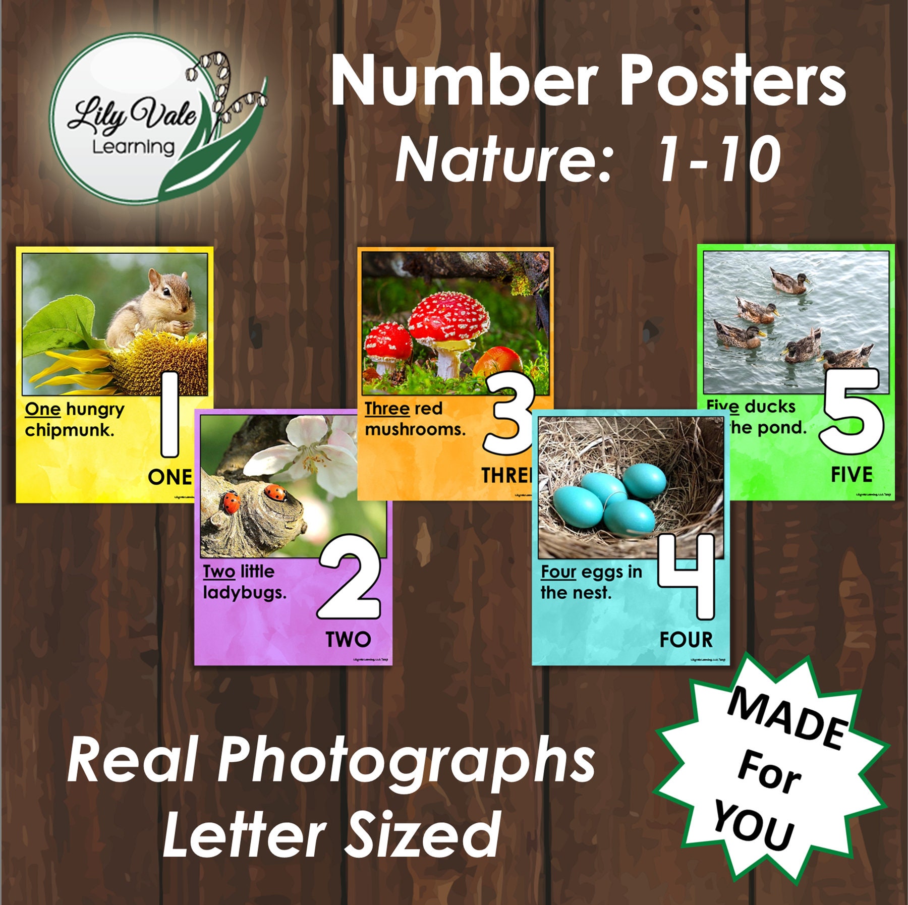 Number Poster, Number Learning, Preschool Math, Montessori Numbers ...