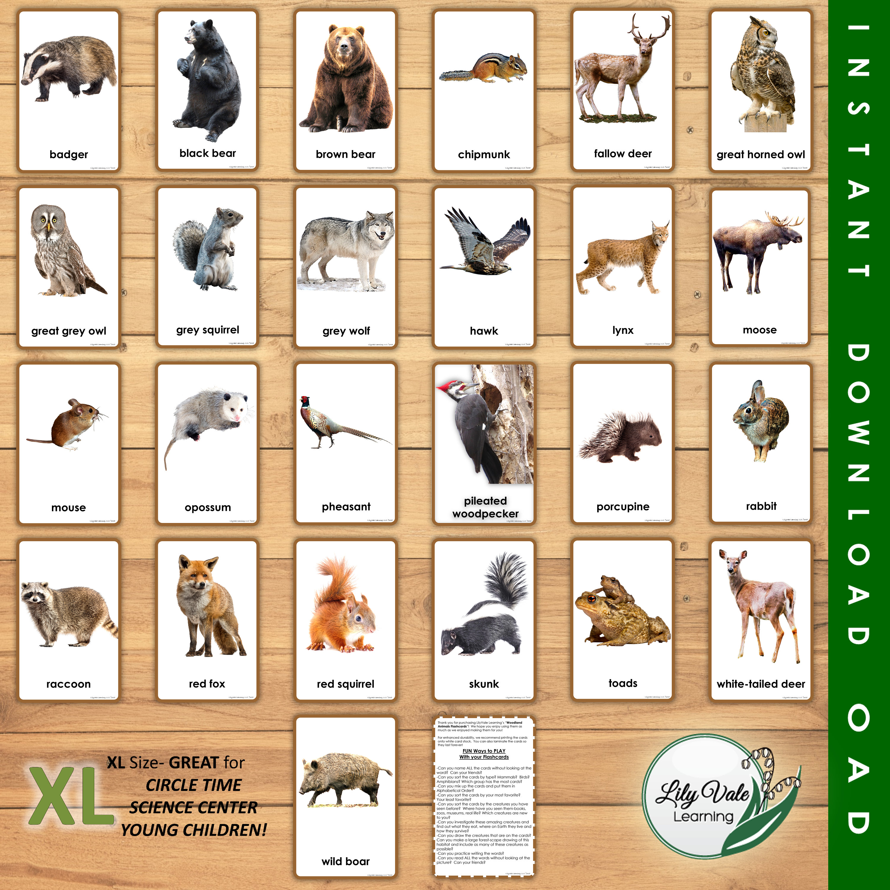 Woodland Animal Printable, Forest Animal Cards, Animal Learning Cards ...