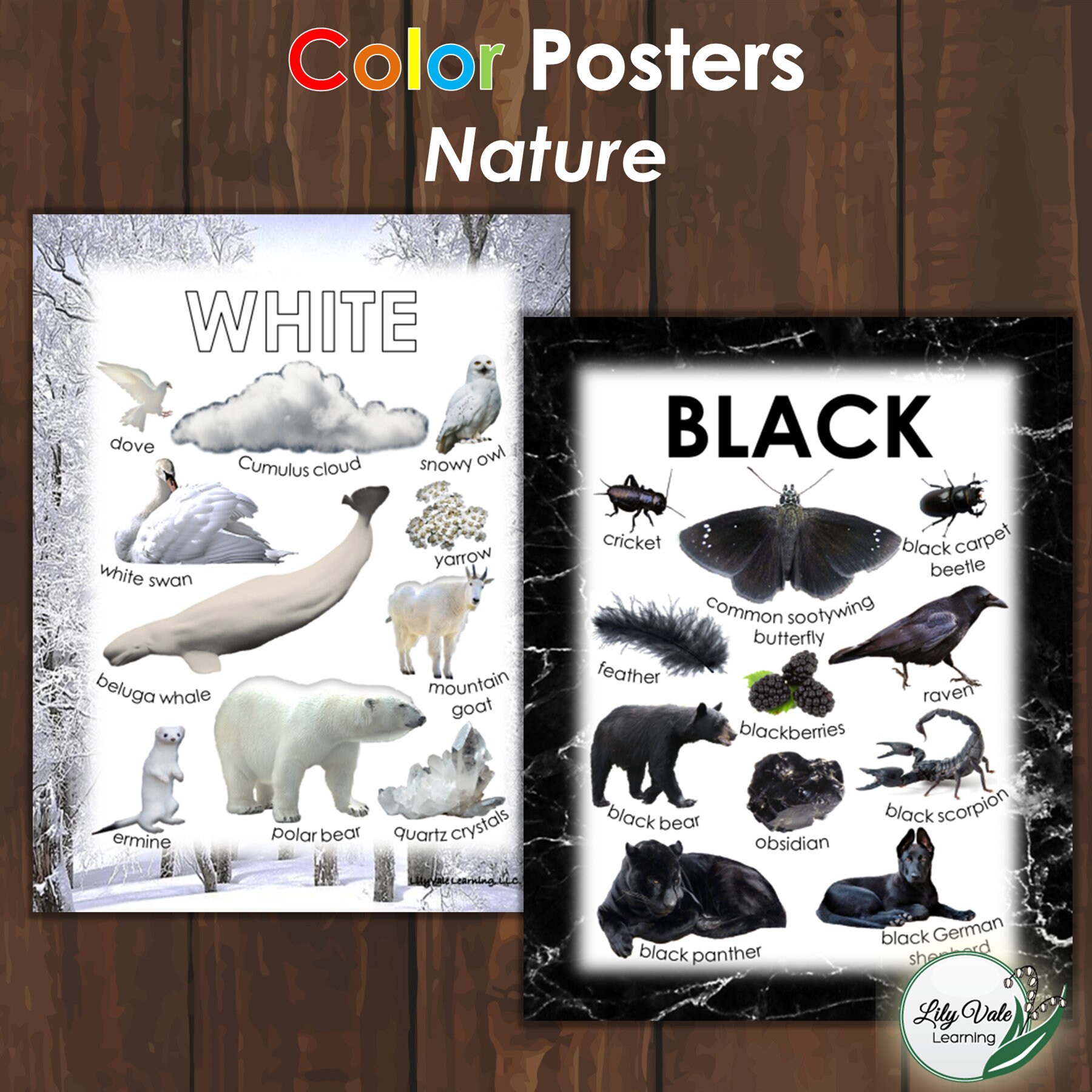 Color Learning, Montessori Classroom Decor, Preschool Classroom Poster ...