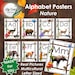 Alphabet Poster, Animal Alphabet, Montessori Classroom, Alphabet Chart ...