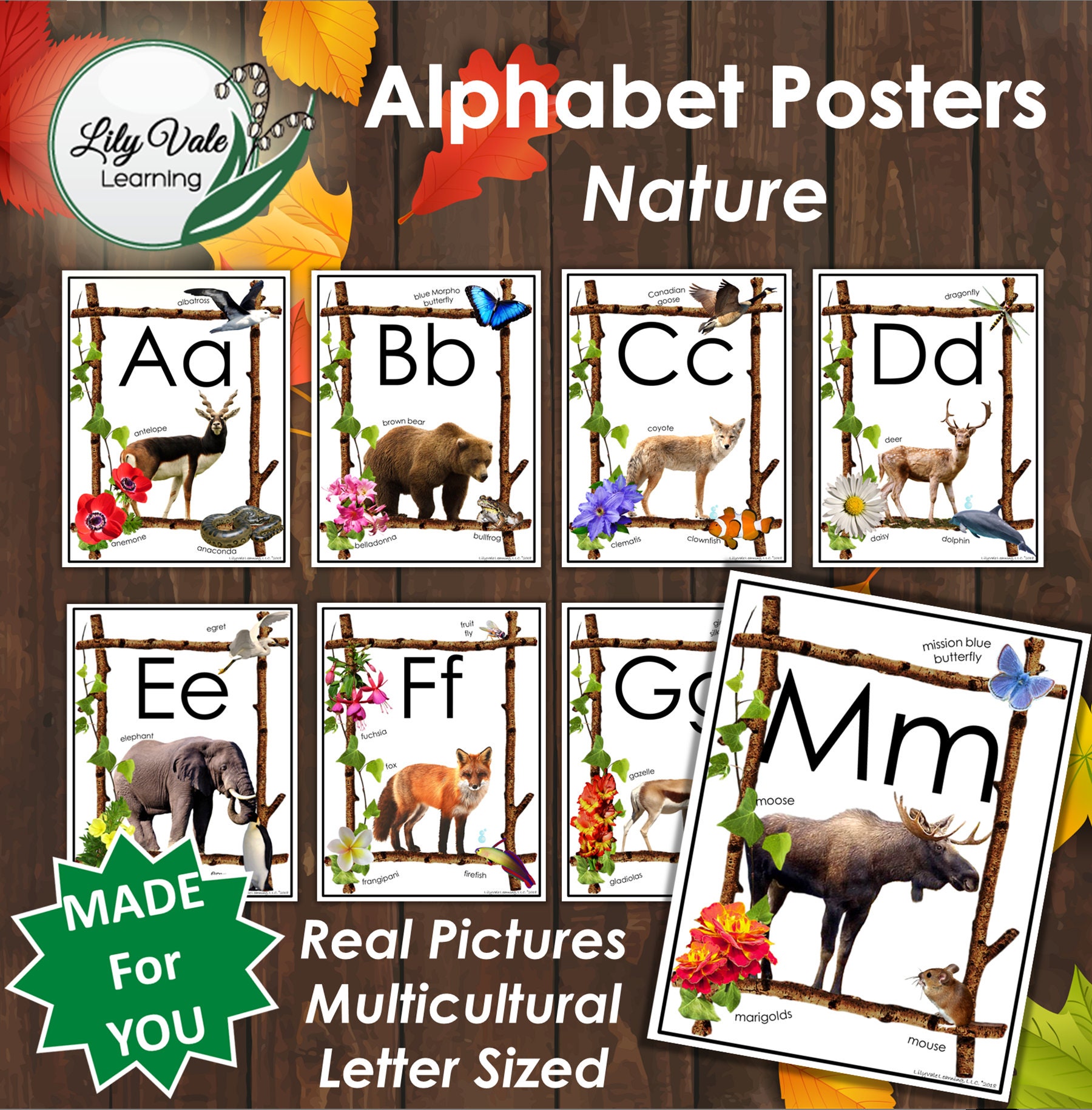 Alphabet Poster, Animal Alphabet, Montessori Classroom, Alphabet Chart ...