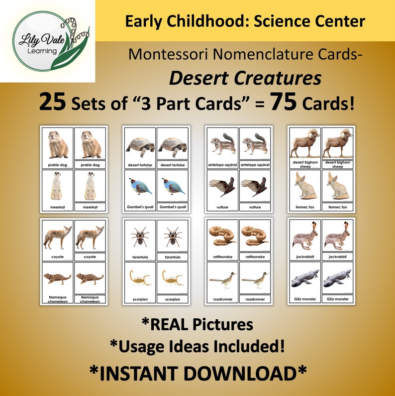 Printable Flashcards, Montessori Flashcard, Nomenclature Cards ...