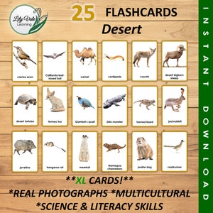 Flashcards, Printable Flashcard, Animal Learning Card, Desert Animal ...