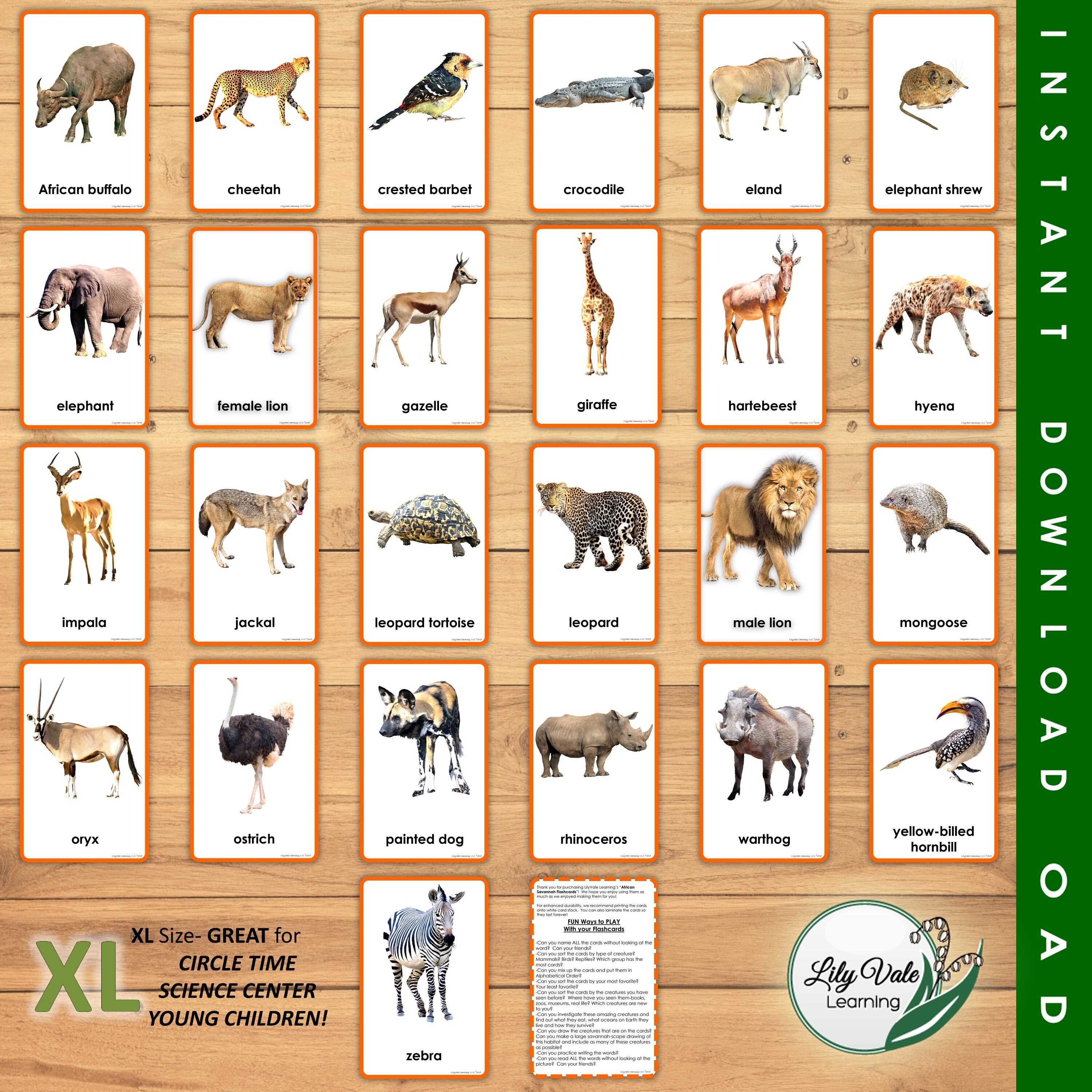 Flashcards, Printable Flashcards, African Animal Printable, Animal ...