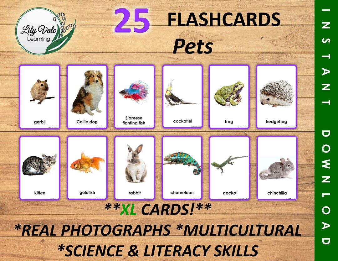 Flashcards, Printable Flashcards, Montessori Flashcards, Animal ...