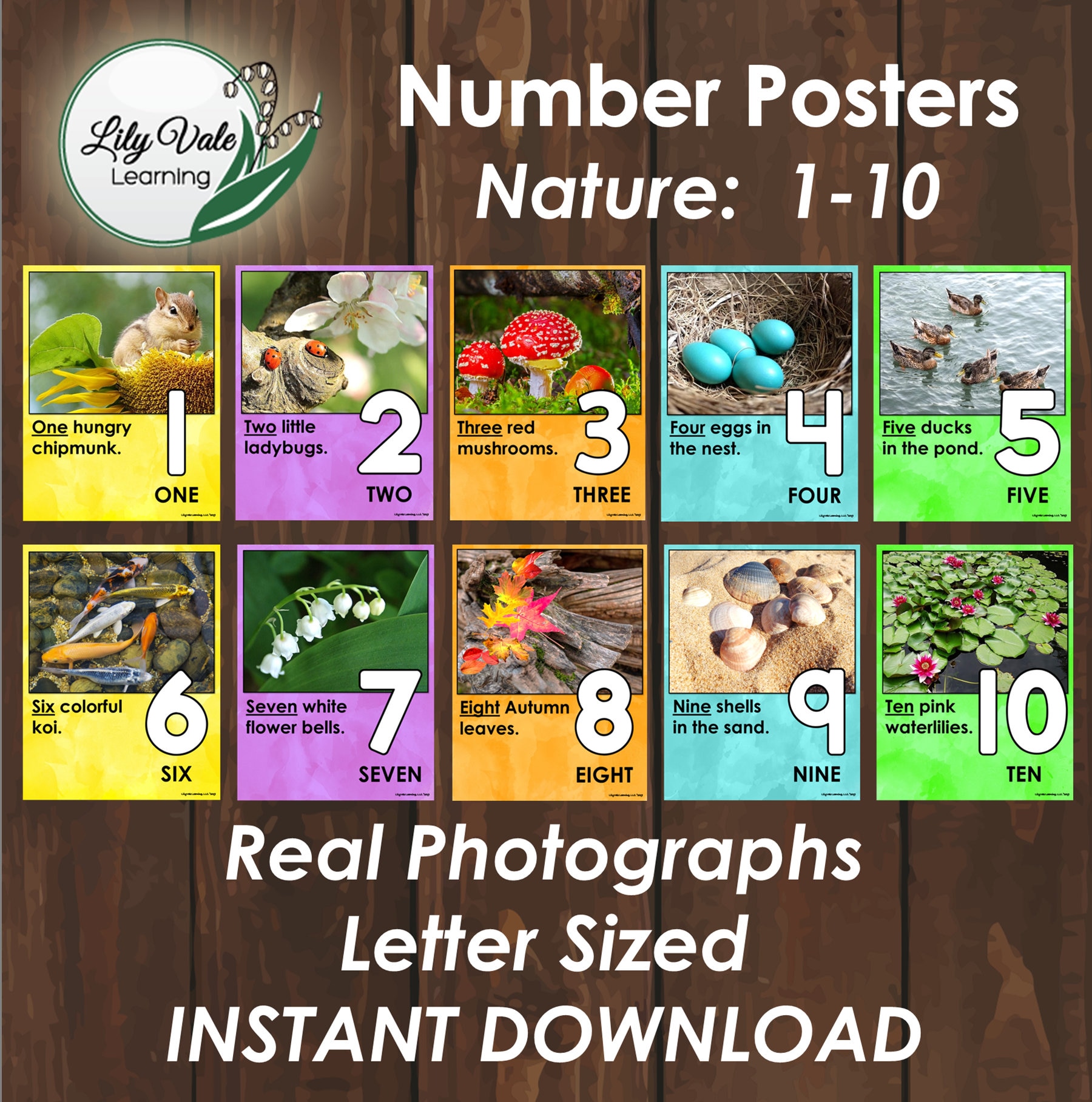 Number Posters, Number Learning, Preschool Math, Montessori Numbers ...